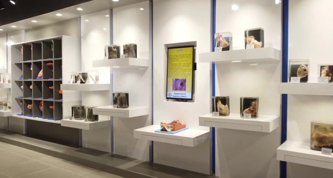 Gallery : DATTA MEGHE MEDICAL COLLEGE(dmmc), Wanadongri, Hingna Road ...